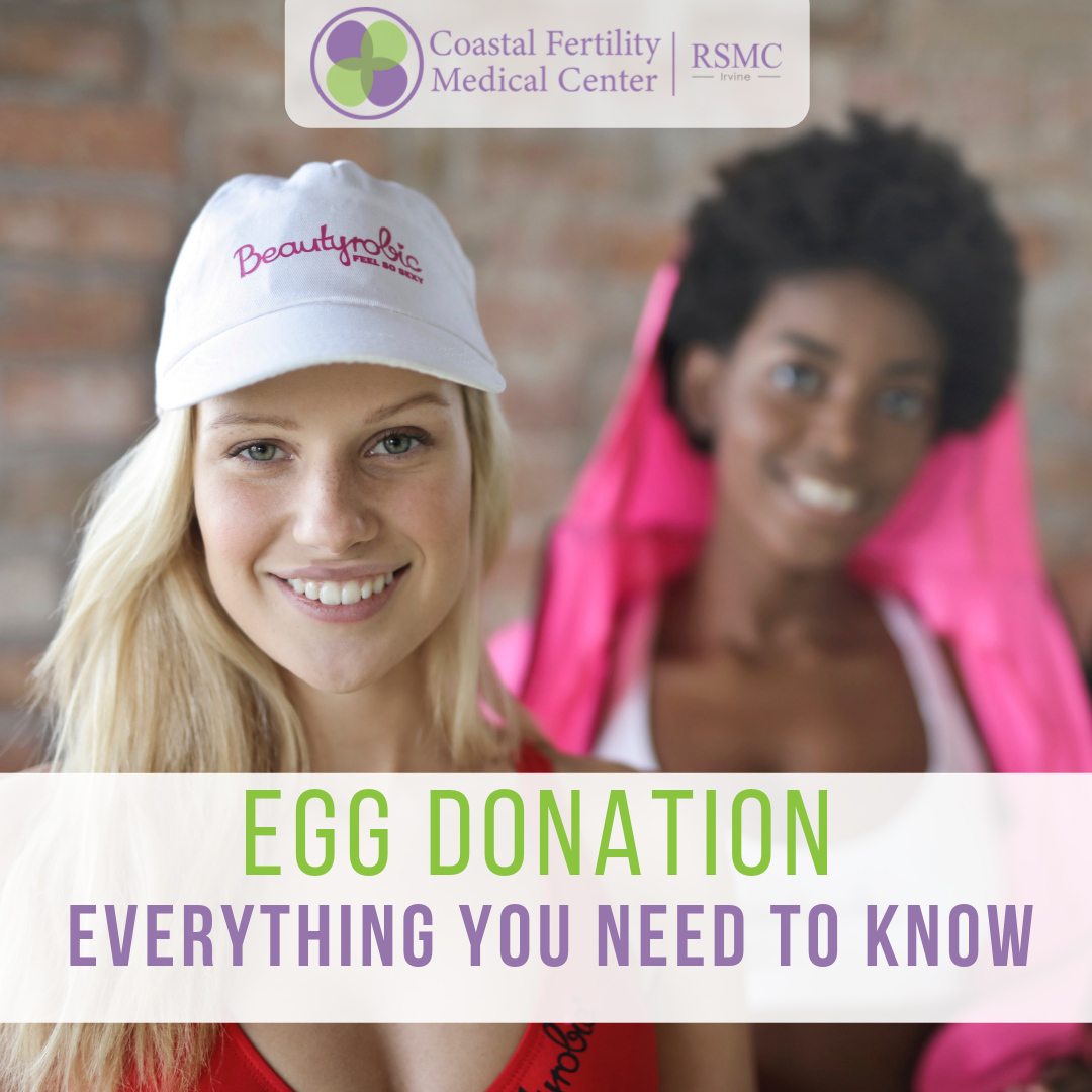 Egg Donation Process | All You Should Know About it